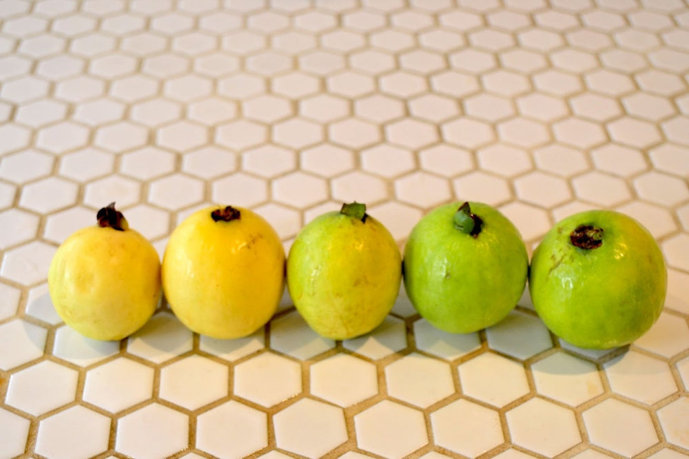 Know the Many Benefits of Yellow Guava - The Tropical Superfruit ...